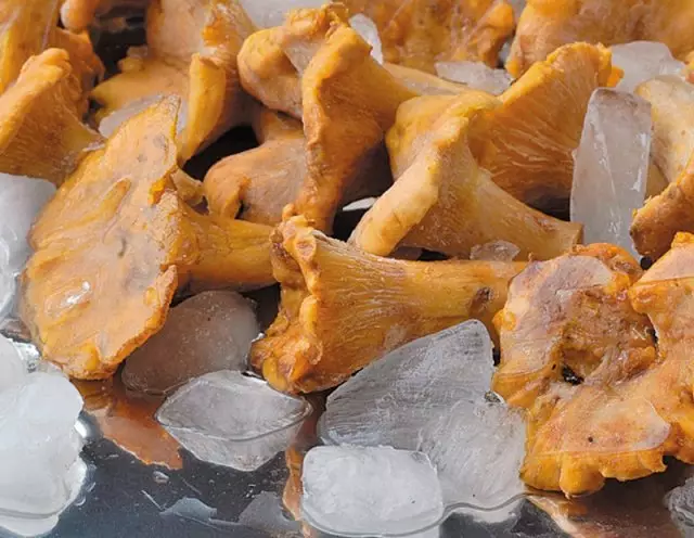 Frozen Chanterelles