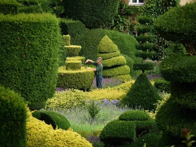 Levance Hall - nejkrásnější topiary zahrada Anglie 8002_5