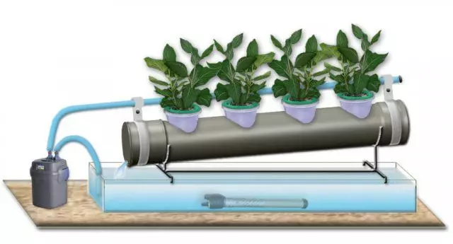 Hoe een eenvoudig aquapaansysteem te monteren voor het kweken van planten thuis 8003_5