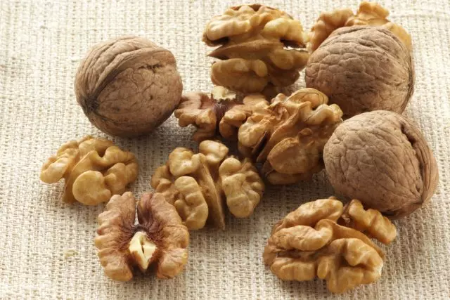 Walnut