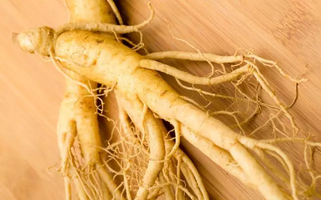 Ginseng.