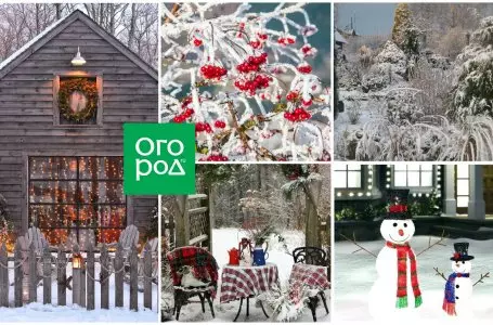 Fin de semana en el bosque: 6 ideas para un paseo familiar de invierno. 8089_11