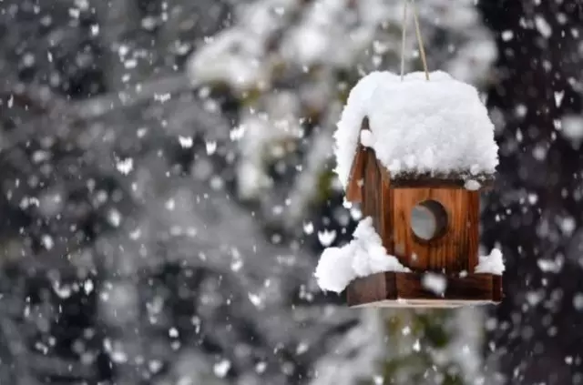 Rust in het land in de winter