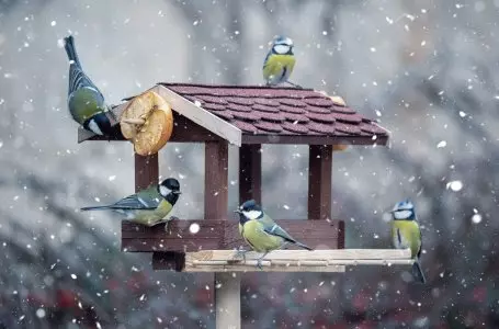 Wochenende im Wald: 6 Ideen für einen Winterfamilie Walk 8089_25