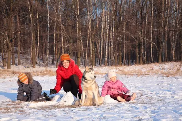 Rust in het land in de winter