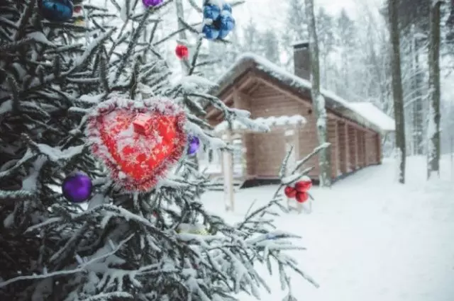 Rust in het land in de winter