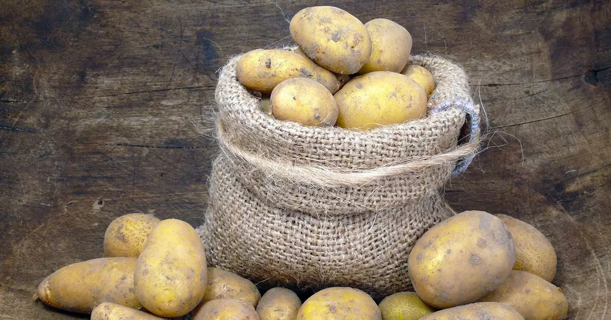 7 varietas kentang terbesar