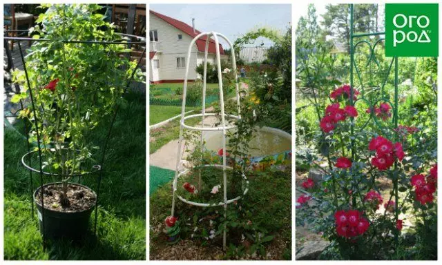 Supports for roses