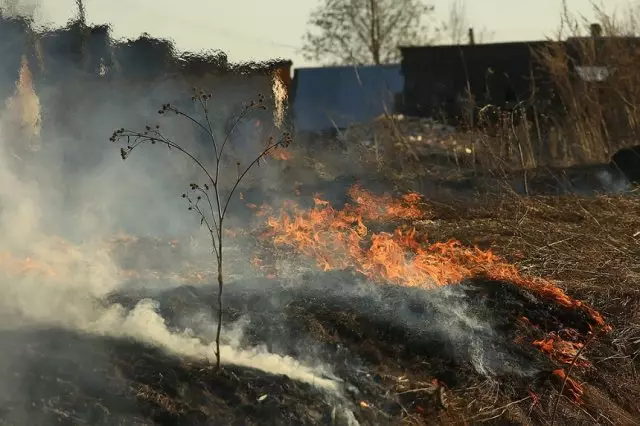 Burning grass