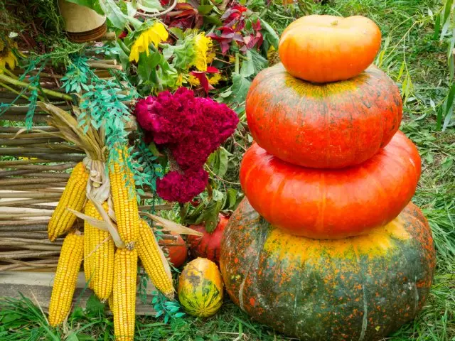 zaken in de tuin in oktober