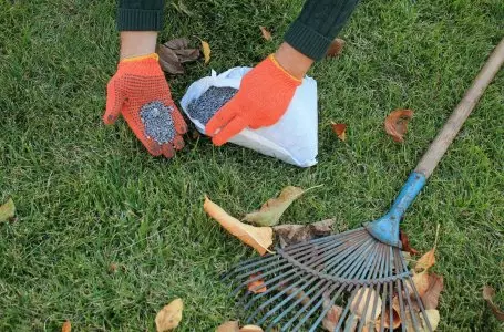 30 twarzy w ogrodzie, ogrodzie i kwiat łóżku w październiku 8128_28