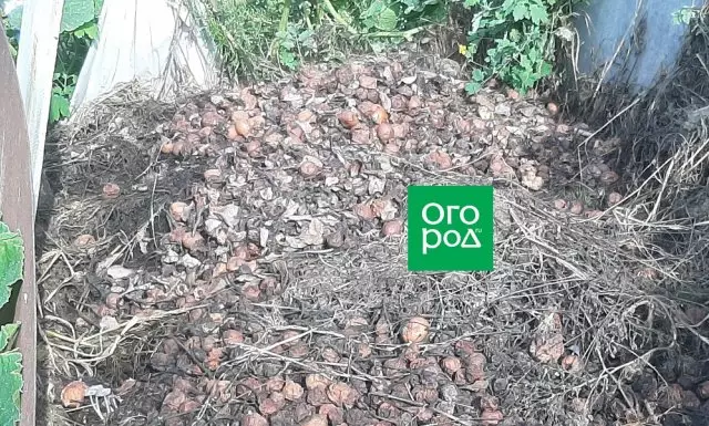 Kompost jáma v zemi s vlastními rukama