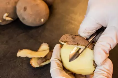 Kopírovat brambory: kde dát vadný 816_17