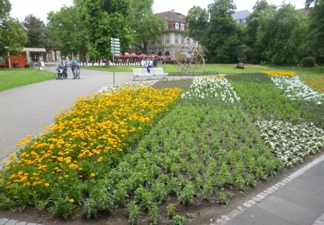 Las camas de flores están alineadas con la severidad alemana y el pedanotismo.