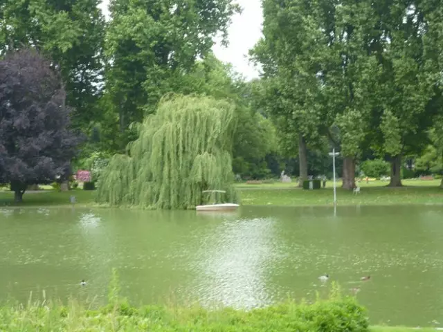 Parke kiekvienam skoniui yra daug nuošalių kampų