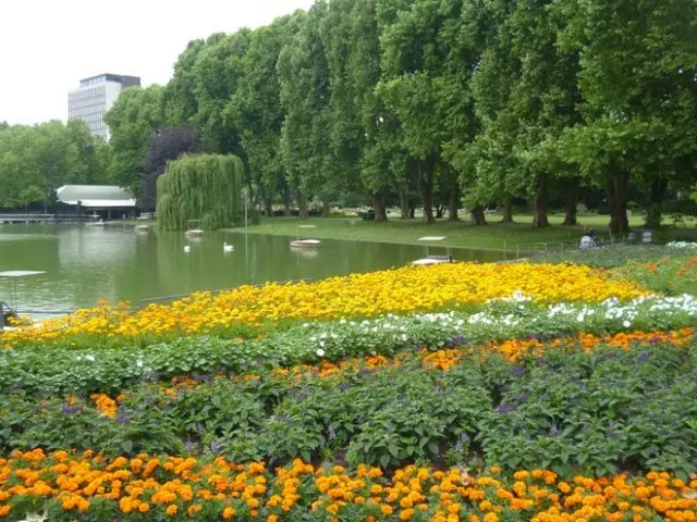 Camas de flores