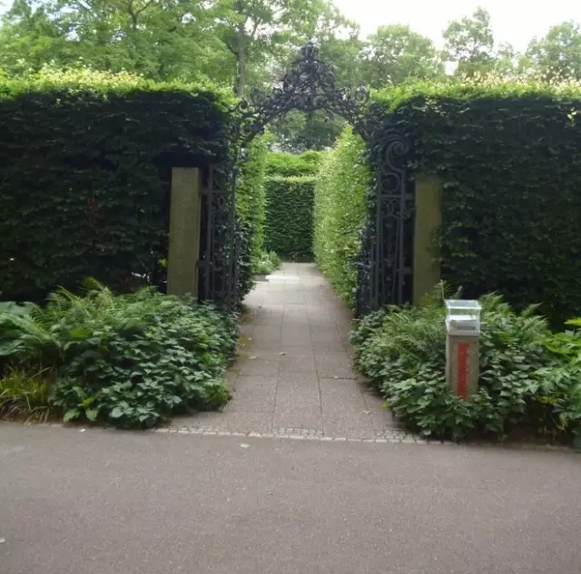 Entrada al laberinto verde