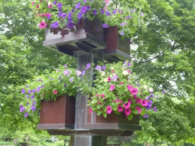 由於高層花壇，鮮花處於眼睛水平