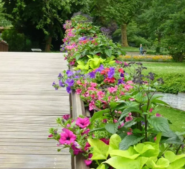 En un puente de madera, decorado con flores siempre es bueno quedarse un par de minutos.