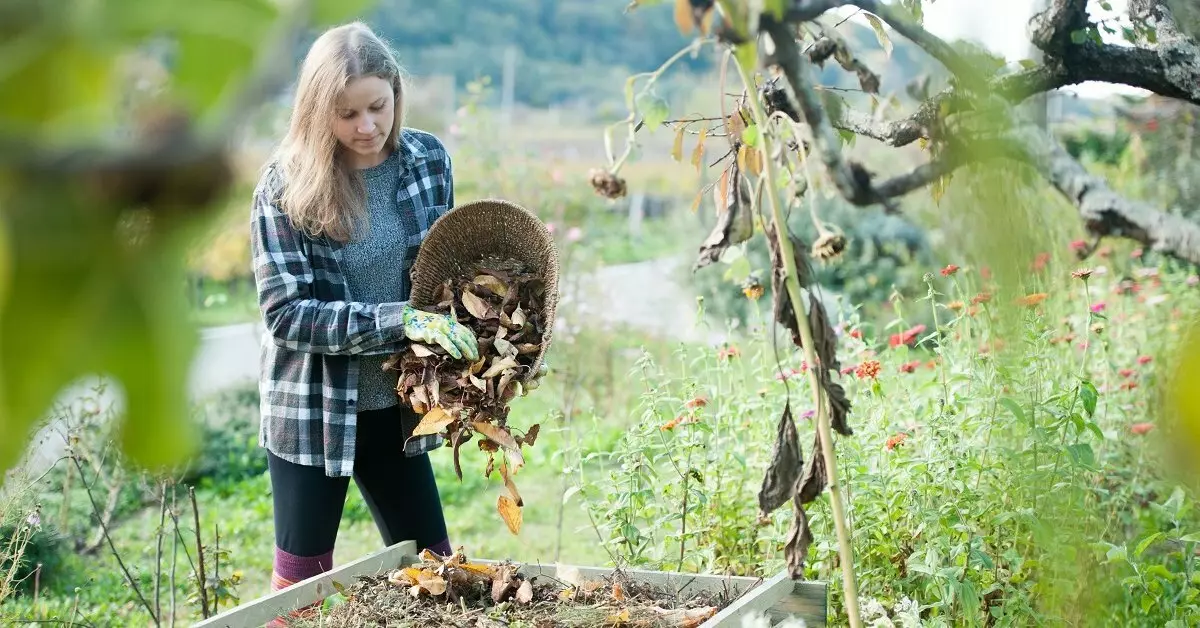 Giardinaggio di partenza - Miti e realtà