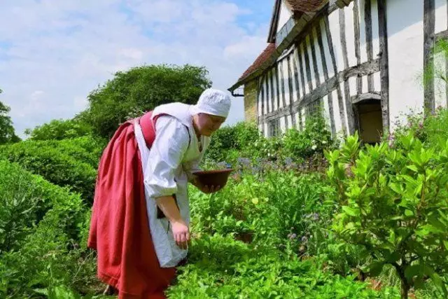 Farm Mary Arden Mary Arden's Farm.