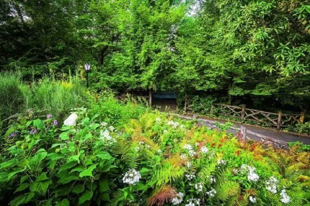 Planten yn 'e wurken fan Shakespeare