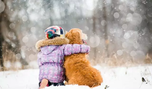 The child hugs the dog in winter