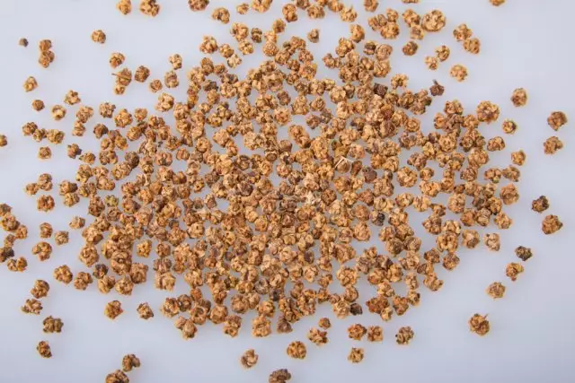 Beckla Seeds Photo