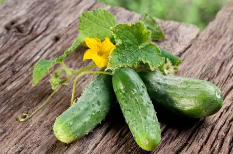 ඇසුරුම් කිරීමකින් තොරව පැරණි බීජ හමු විය - කුමන ආකාරයේ ශාකයක් තීරණය කරන්නේ කෙසේද? 8370_3