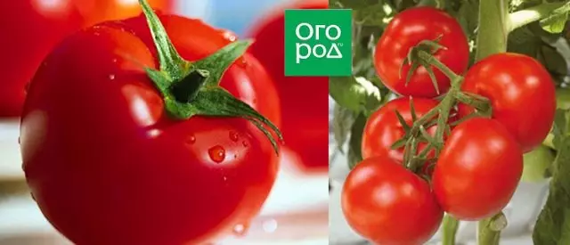 As variedades de tomate máis famosas