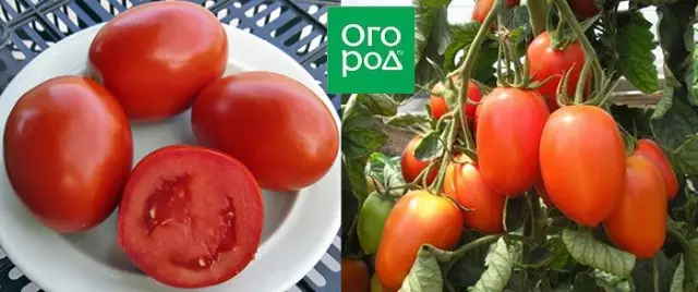 As variedades de tomate máis famosas