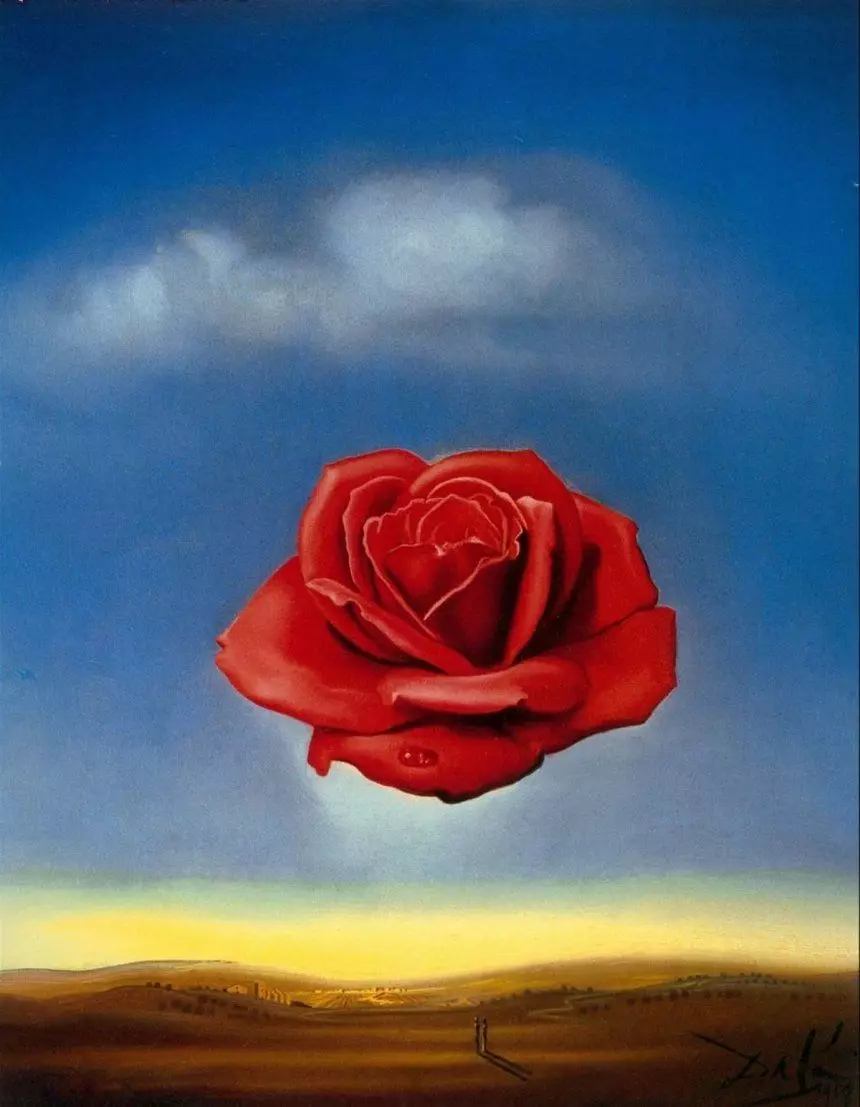 Meditativna ruža. S. Dali.