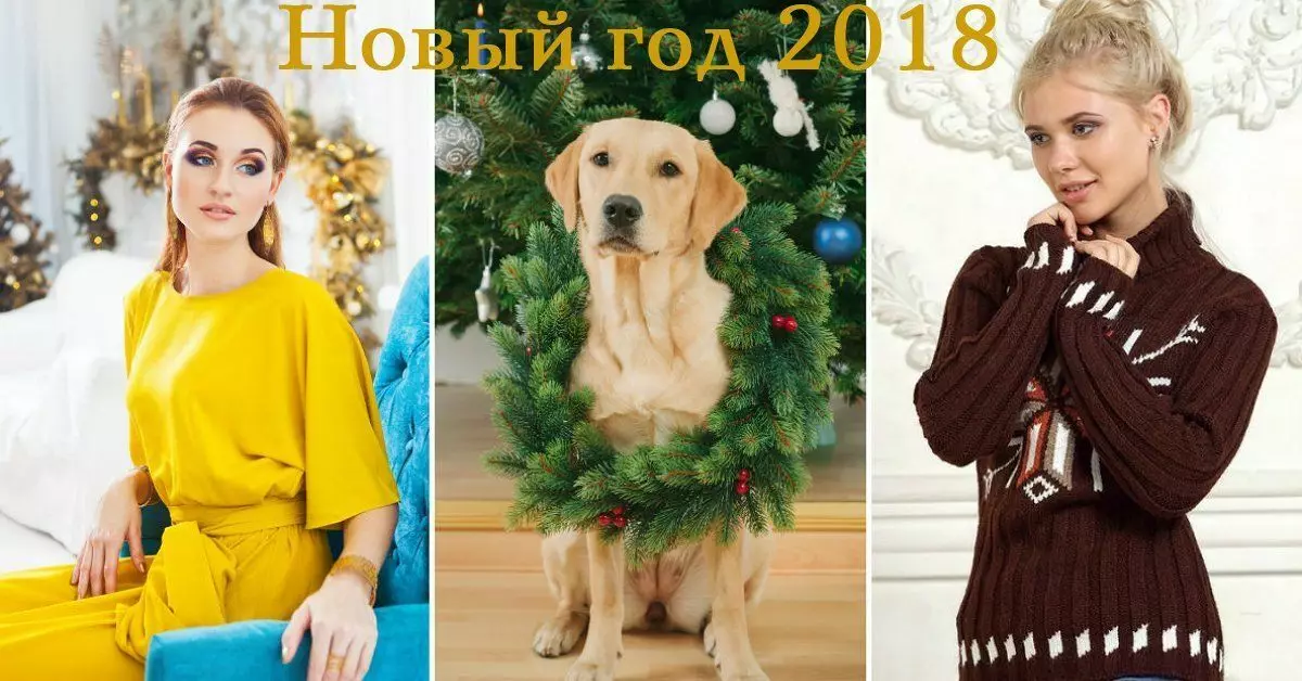 What you need to celebrate New 2018 Dogs