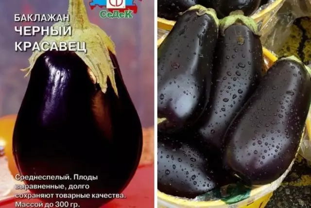 Eggplant ຄວາມງາມສີດໍາ