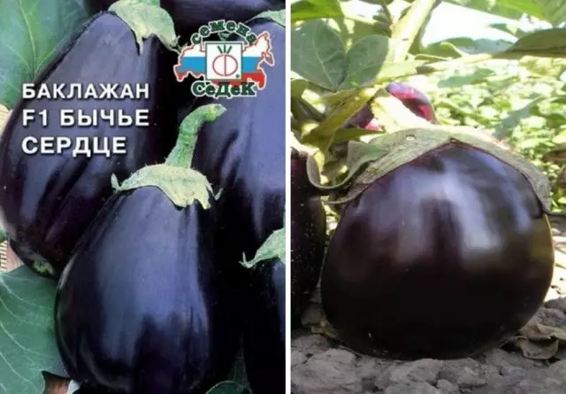 ຫົວໃຈ bullie eggplant