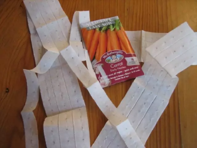 Sowing carrots on toilet paper