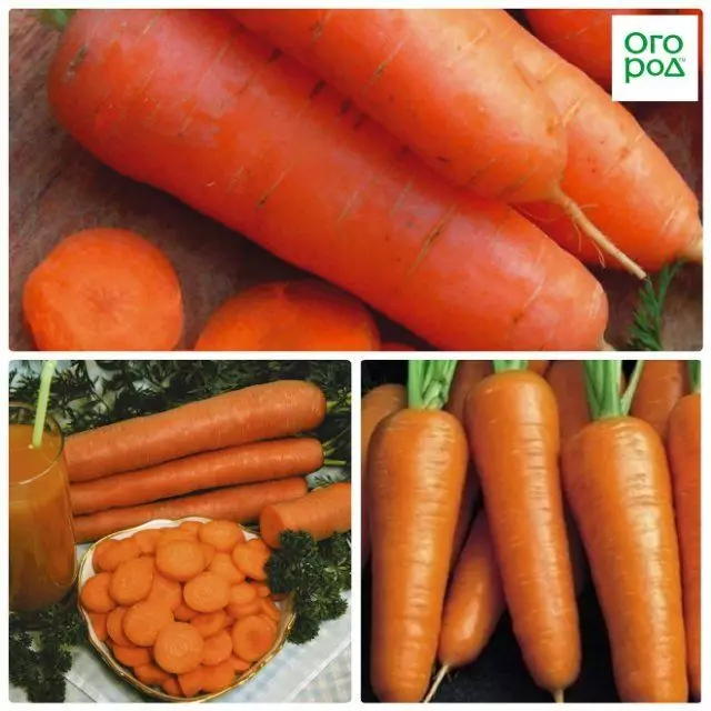 Carrots lacca