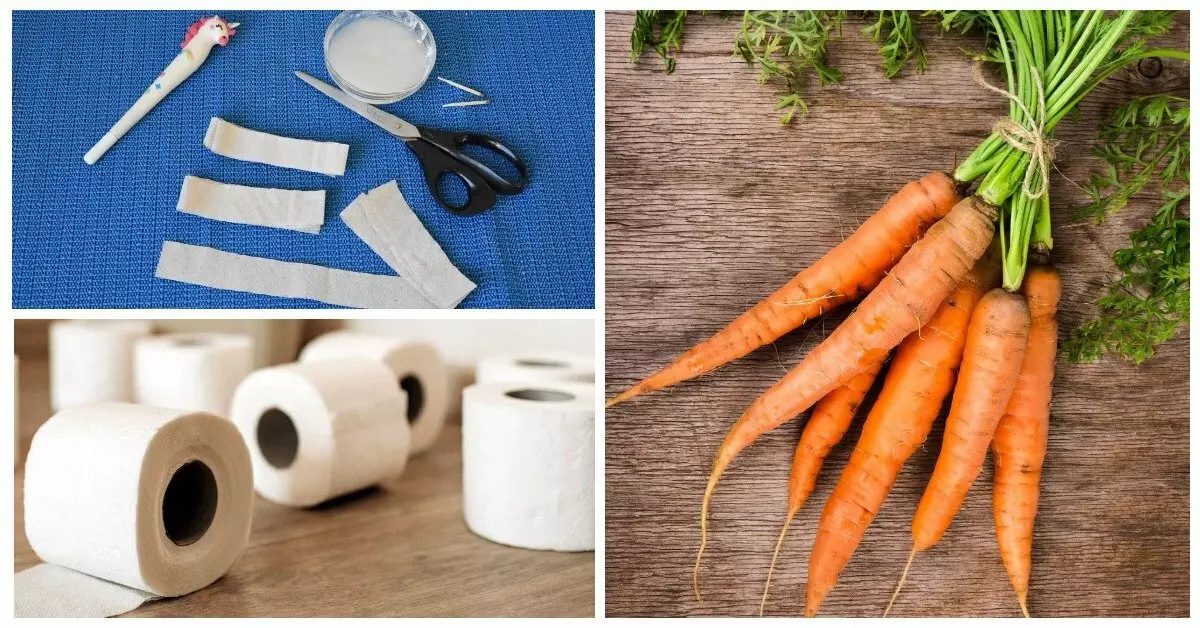 Cómo sembrar zanahorias en papel higiénico - Clase Master con foto