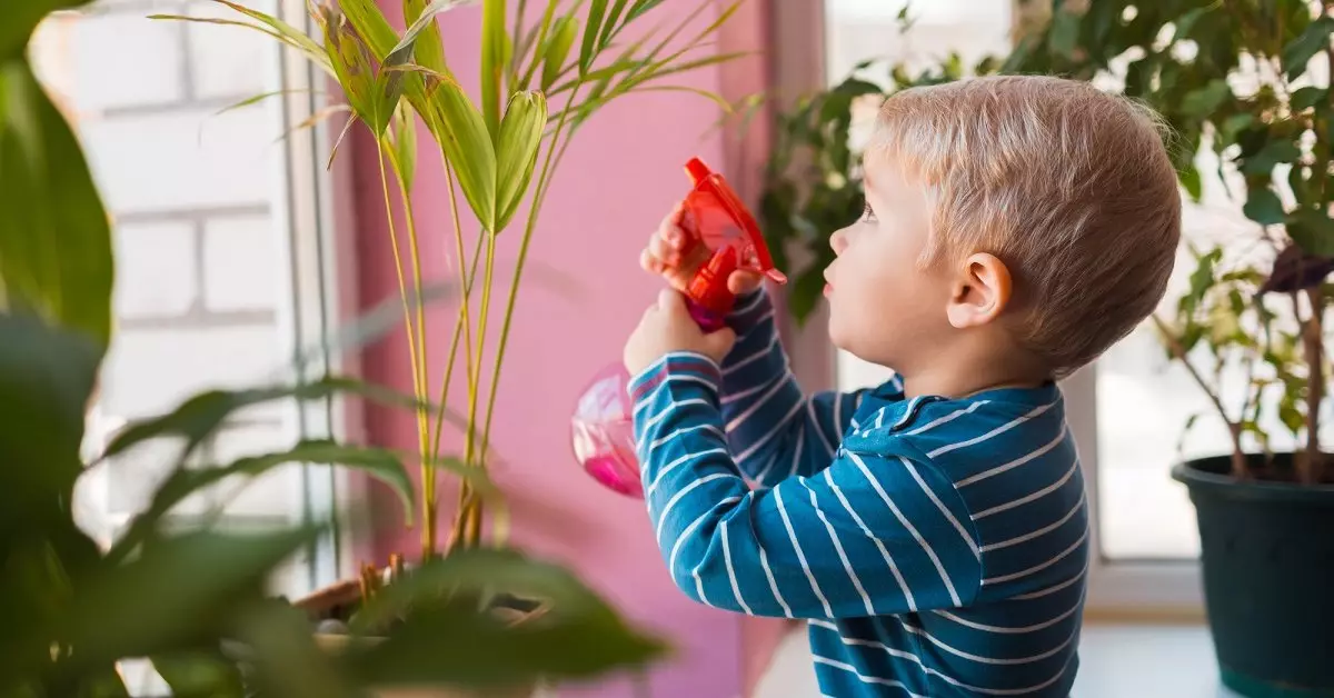 Plantes per a la sala infantil: quines flors són segures per a joves investigadors