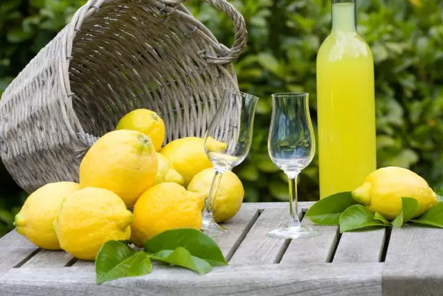 수제 Limoncello.