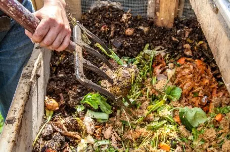 Δημιουργήστε ένα floral σύνορο για τους φτερωτούς βοηθούς σύμφωνα με το σχέδιο 8837_27