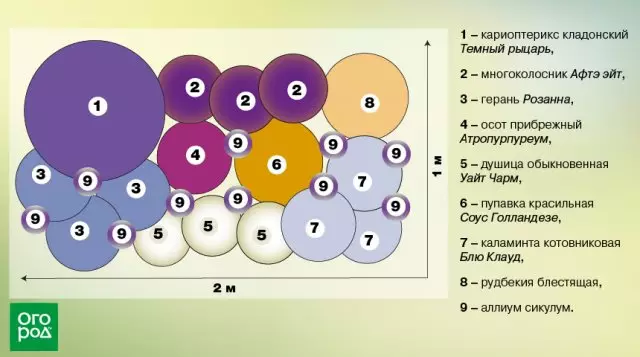 Esquema de xardín de flores