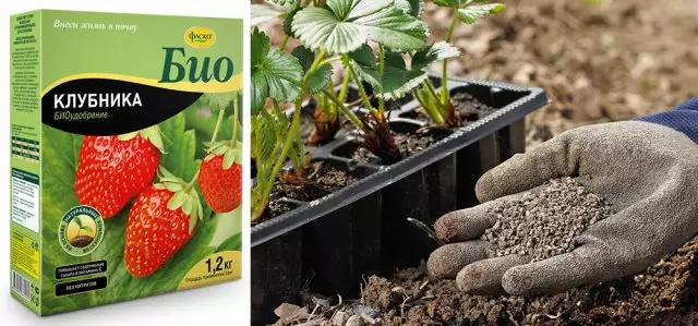 Bio-Fobstience para sa mga strawberry.