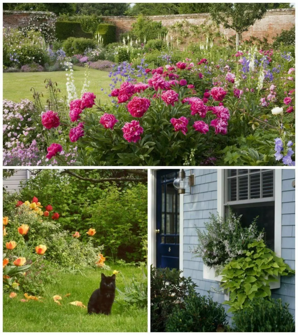 Hyugga: how to bring cozy Danish happiness in your garden 8849_5