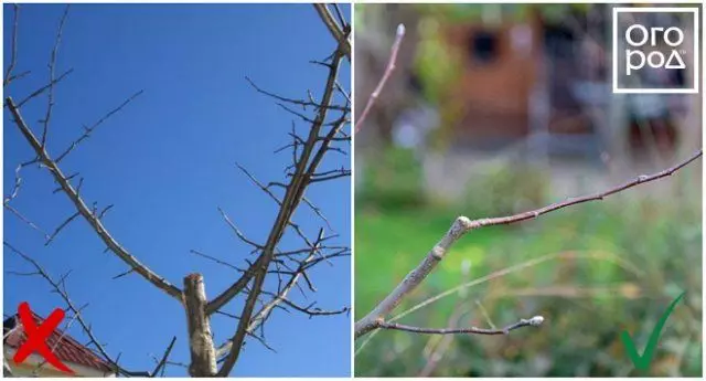 Tree trimming with lateral escape