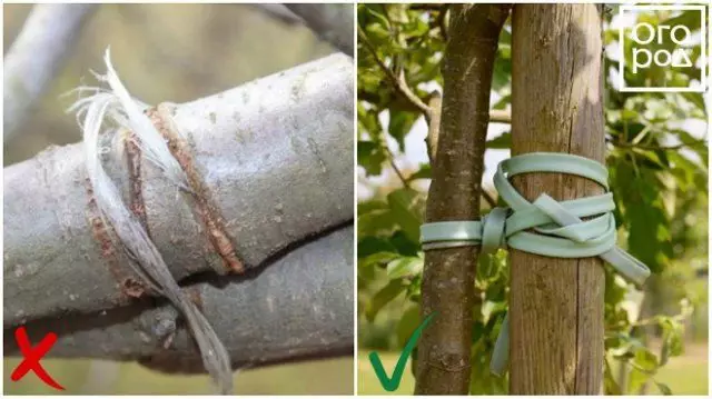 Tree strapping material