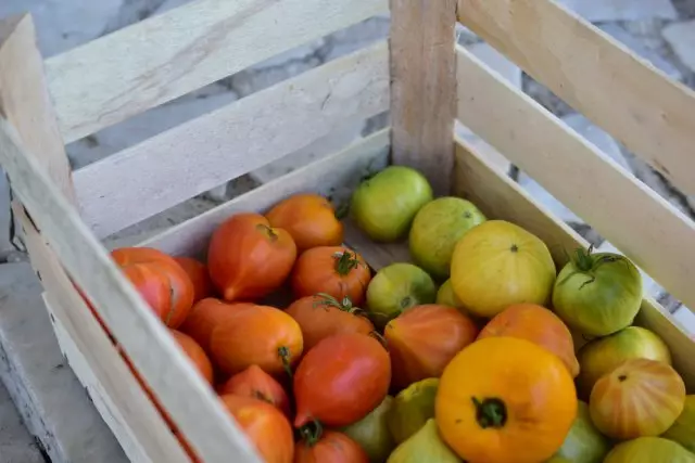 Girato in pomodori verdi