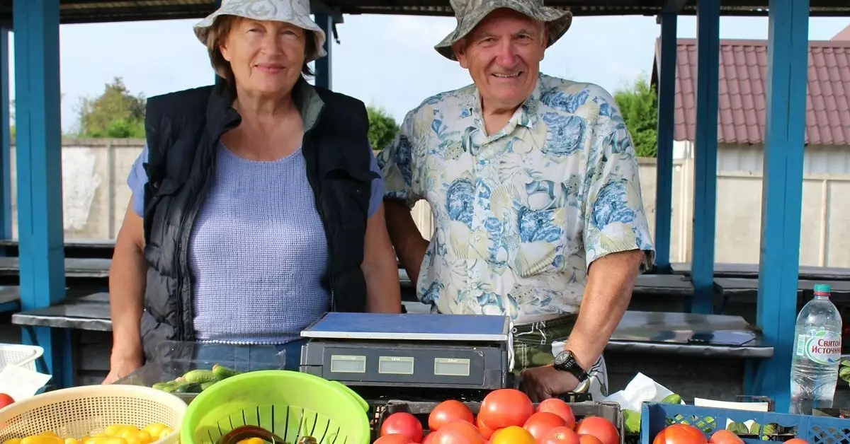 Comment cultiver des tonnes tomates