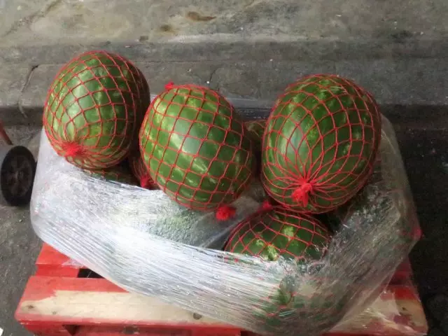 Watermeloen in gaas