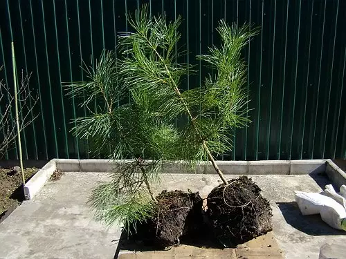 Postrojenja bez kontejnera